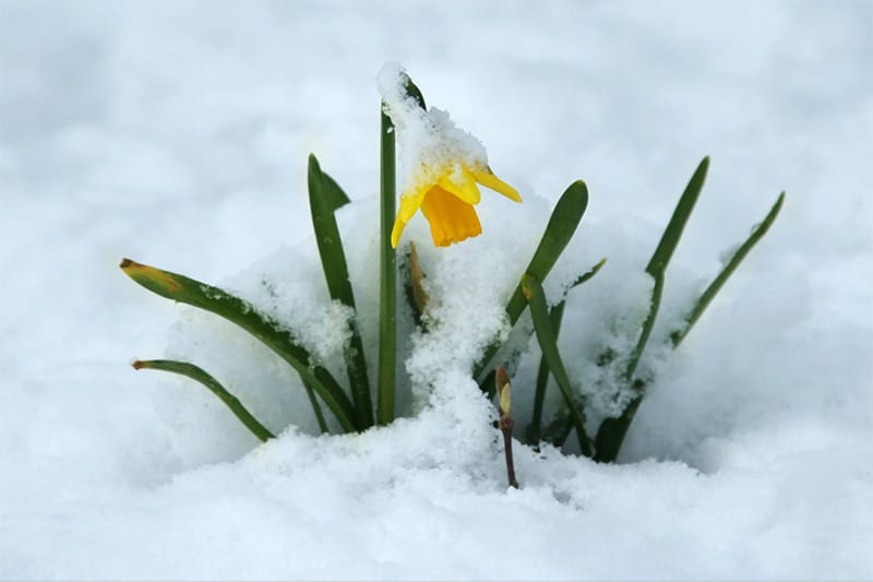 March Newsletter - Betty Jane Ware